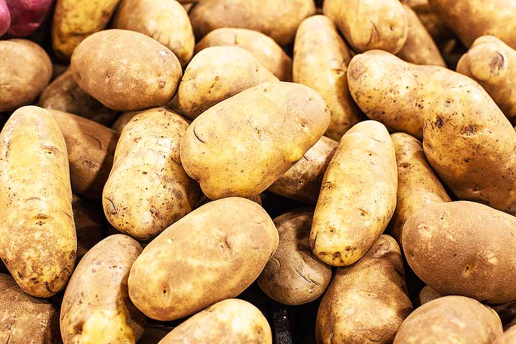 Tractor-trailer, DOT vehicle collide in New Hampshire - TheTrucker.com