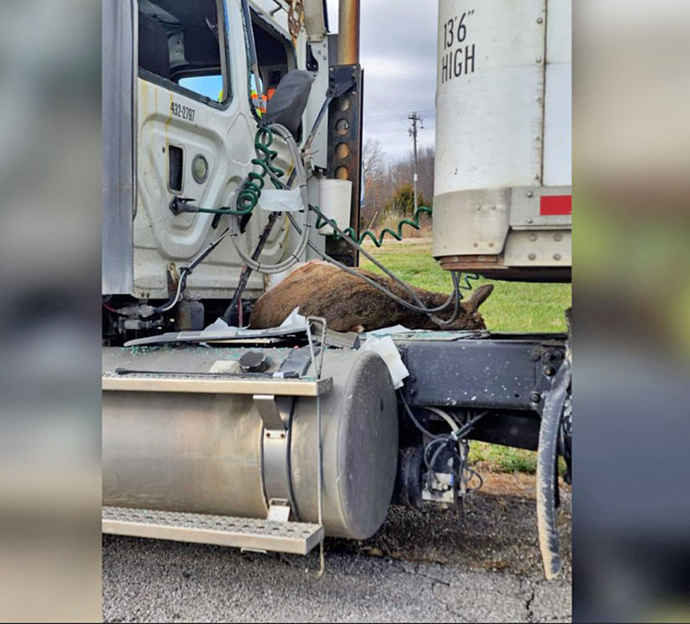 Deer flies through cab of semi in Missouri - TheTrucker.com