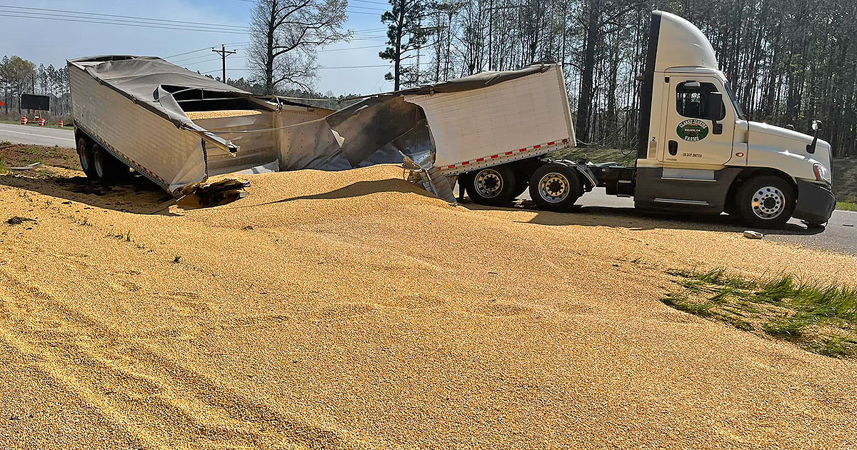 Tractor-trailer bursts, spills grain across Georgia highway ...