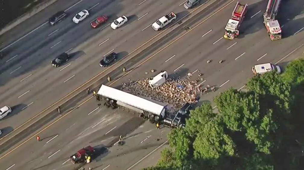 Big rig spills chicken, clucks up Atlanta area traffic - TheTrucker.com