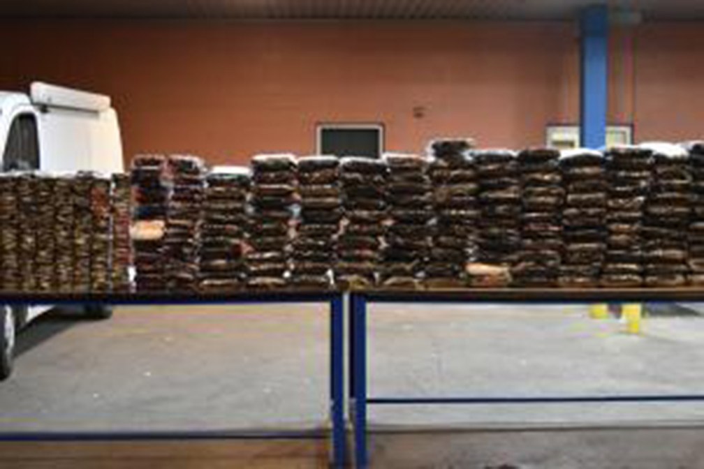 Illegal blooms: Drugs found mixed with rig's flower shipment at Texas ...