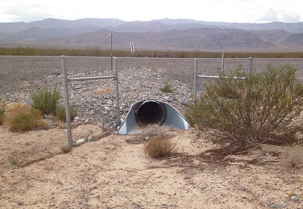 Nevada DOT receives federal award for efforts to reduce animal-vehicle ...