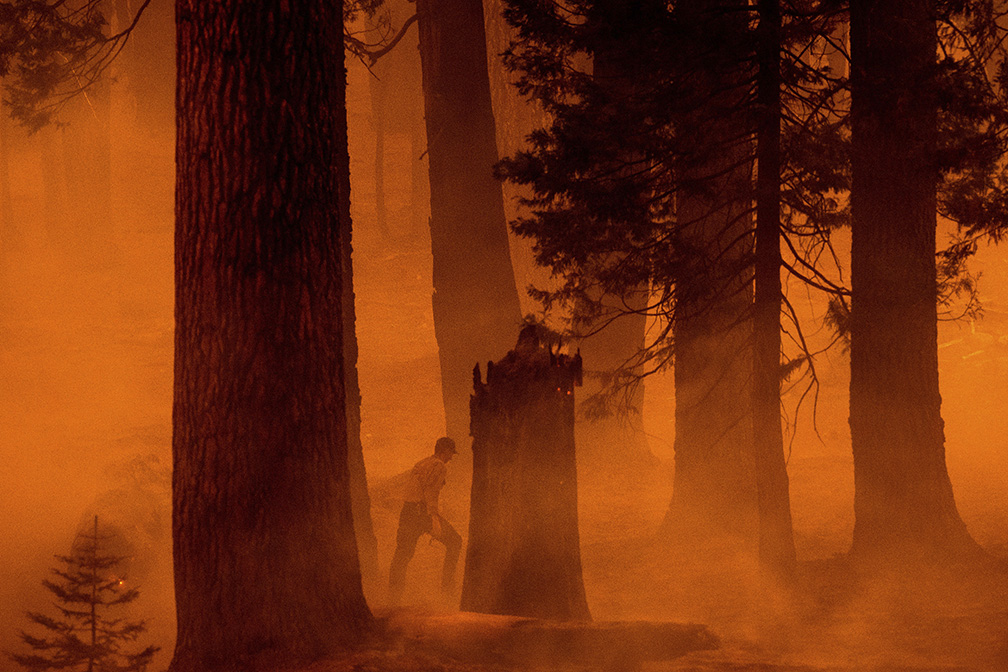 California wildfire grows, chews through timber in unfavorable weather ...