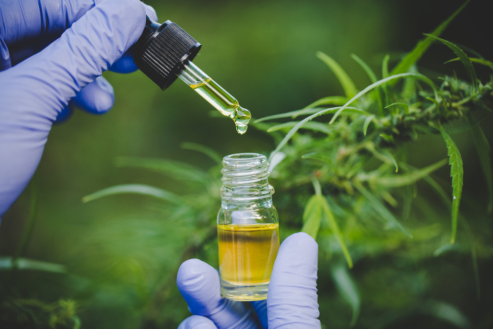 Delta-8 hemp and Texas medical marijuana industries to face off in the ...