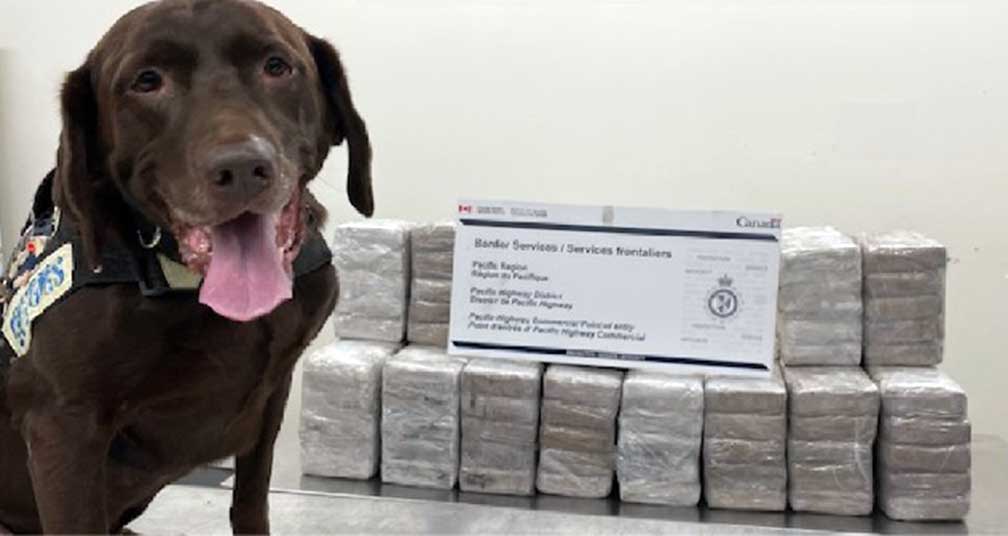 Canadian Border Officers Seize More Than 6 6m Of Cocaine At Commercial