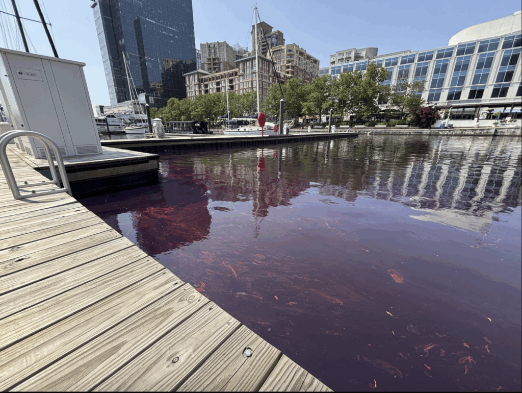 Crews clean up 2,000-gallon diesel fuel spill in Baltimore’s harbor ...