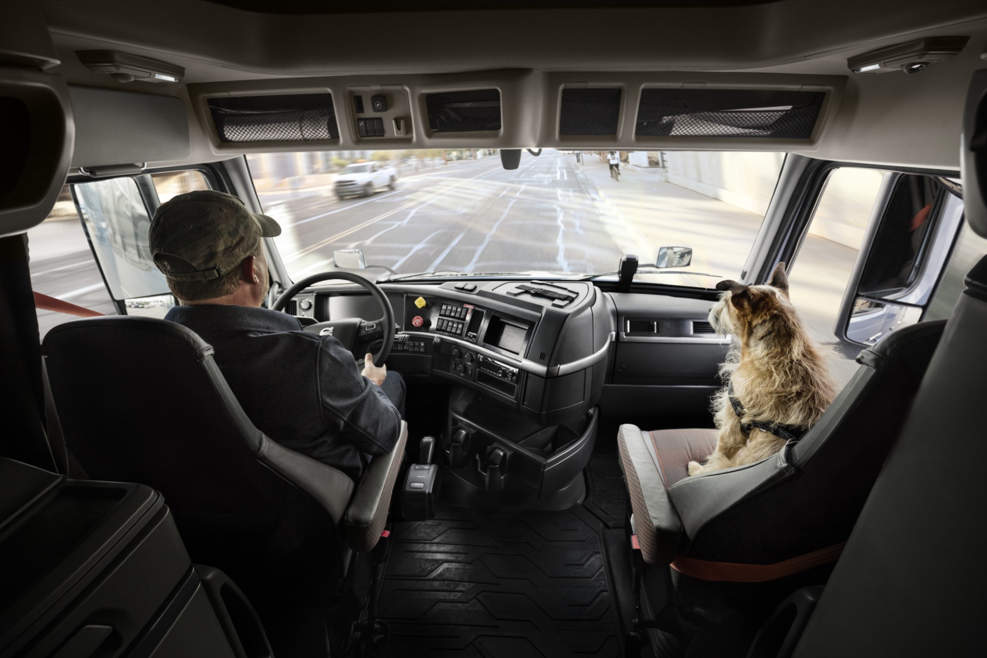 The pawsitive impact of Volvo Trucks pet safety partnership ...